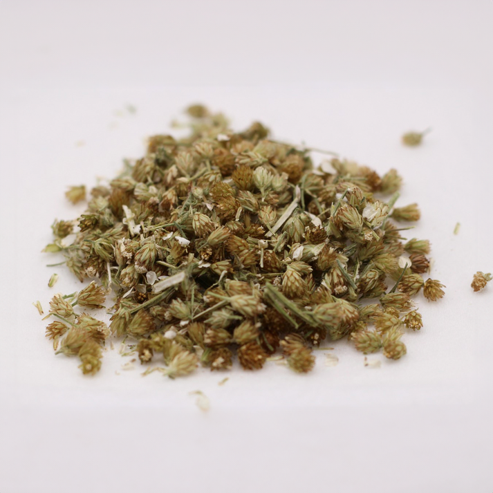 Yarrow Flowers Dried & Cut | Pacific Botanicals
