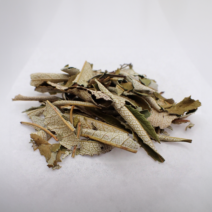 Yerba Santa Leaf Dried Whole | Pacific Botanicals