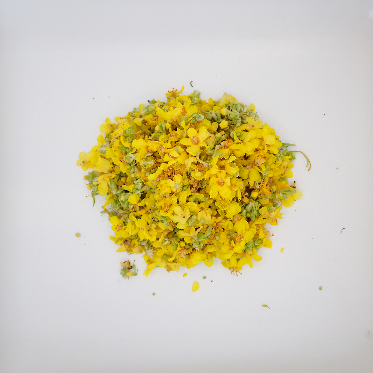 Mullein Flower Fresh | Pacific Botanicals
